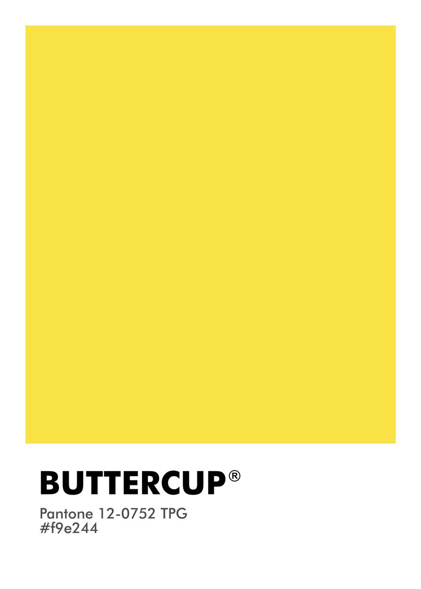 'PANTONE BUTTERCUP' Poster, picture, metal print, paint by Masahiro Art ...