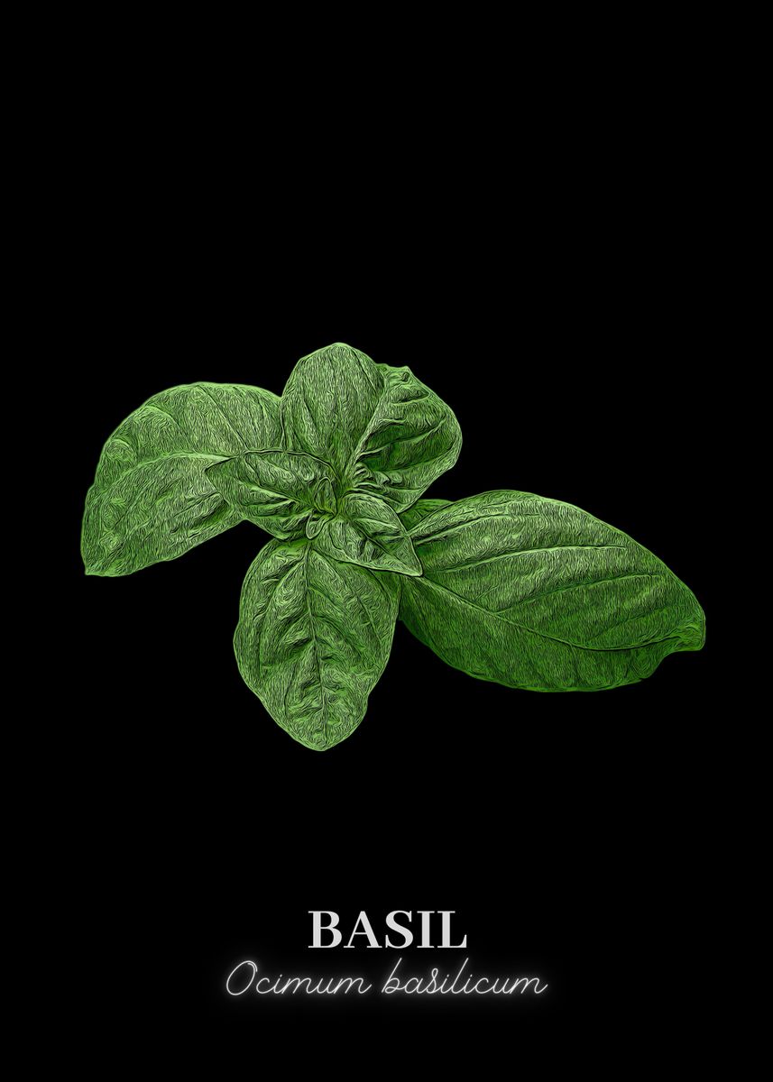 'Basil Leaves' Poster, picture, metal print, paint by Massimo Usai ...