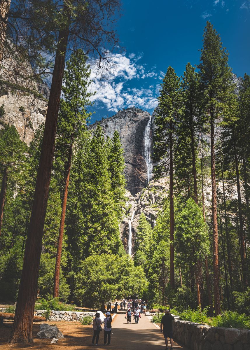 'Yosemite Falls' Poster, picture, metal print, paint by Matt Cool ...
