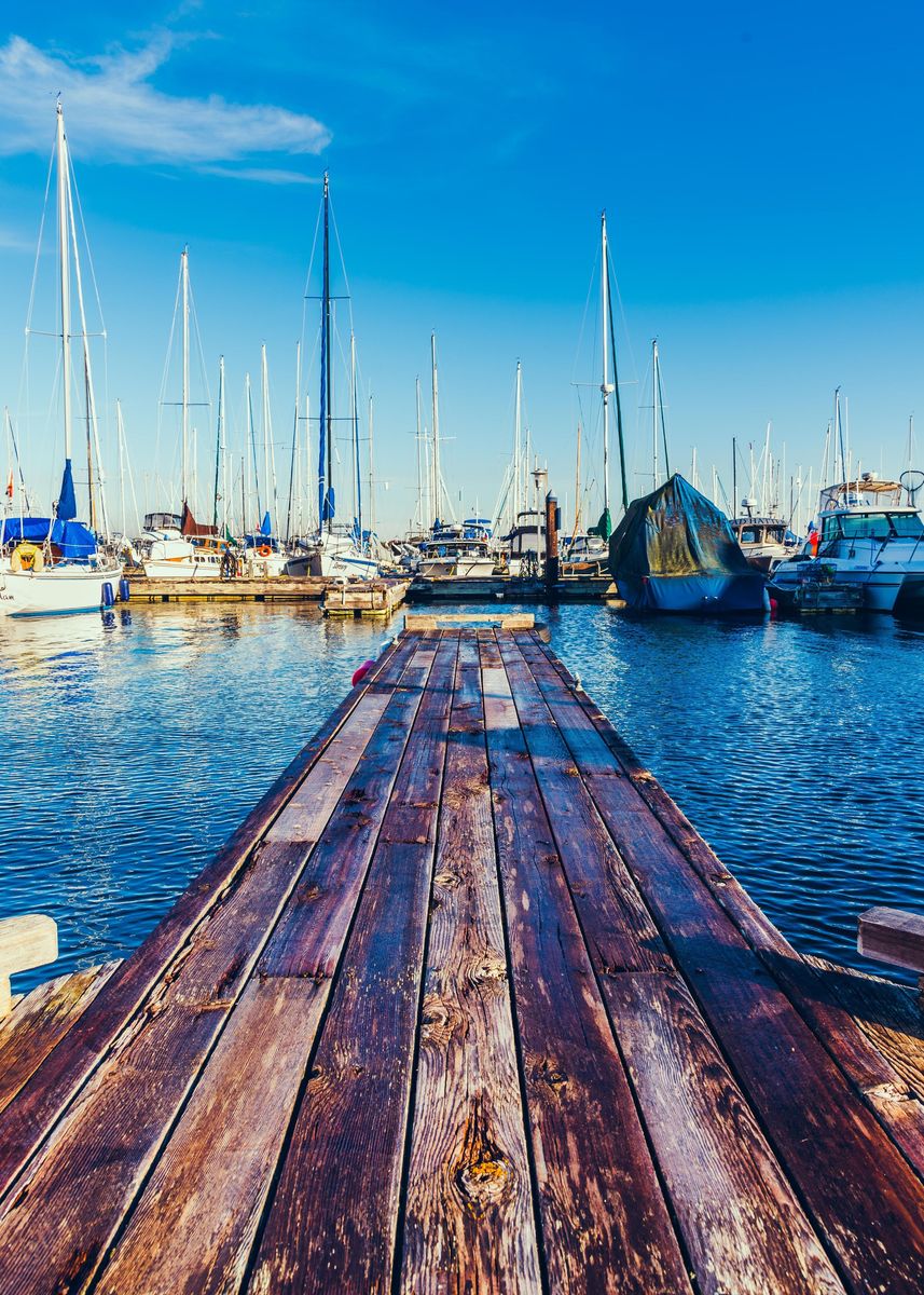 'Boat Sailing Boats Ocean' Poster, picture, metal print, paint by ...