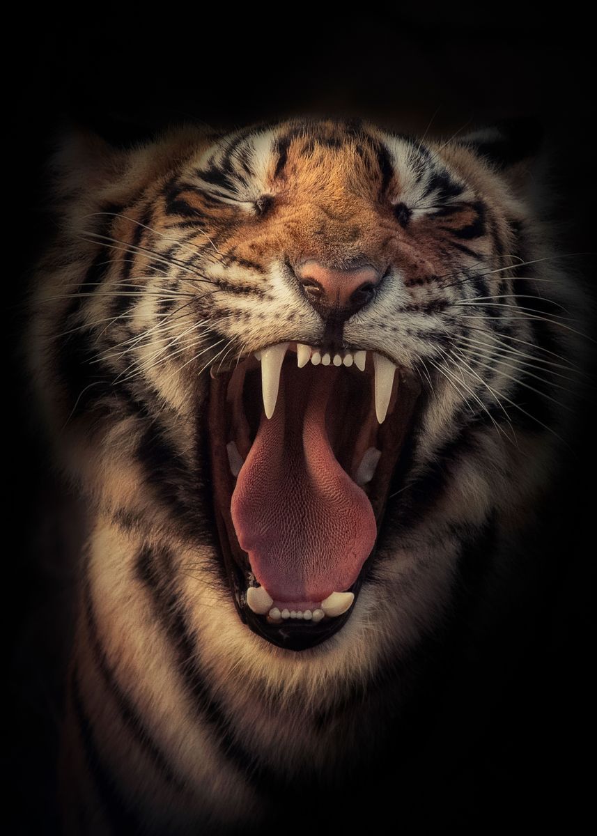 'Roar' Poster, picture, metal print, paint by Alice White Milano | Displate