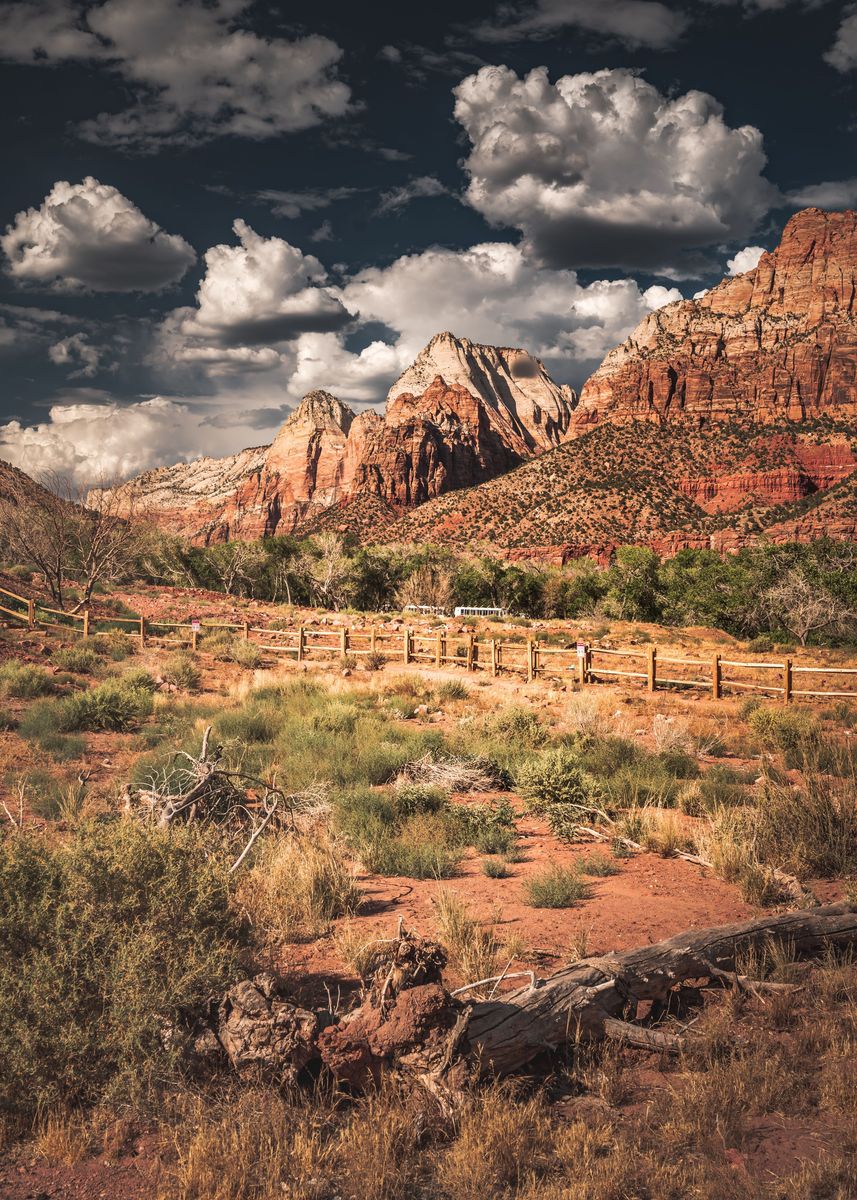'Zion National Park' Poster, picture, metal print, paint by Matt Cool ...