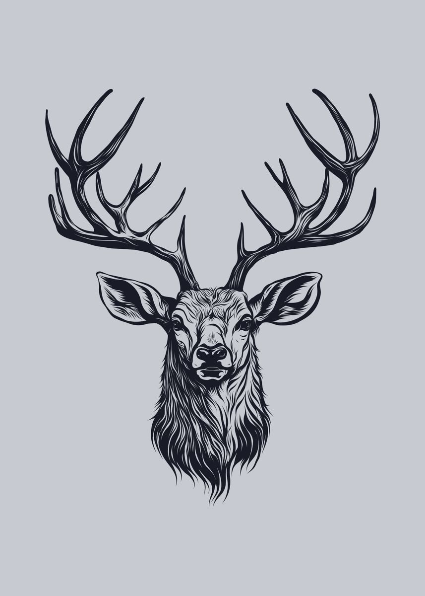 'Stag' Poster, picture, metal print, paint by Dark Eyed Design | Displate