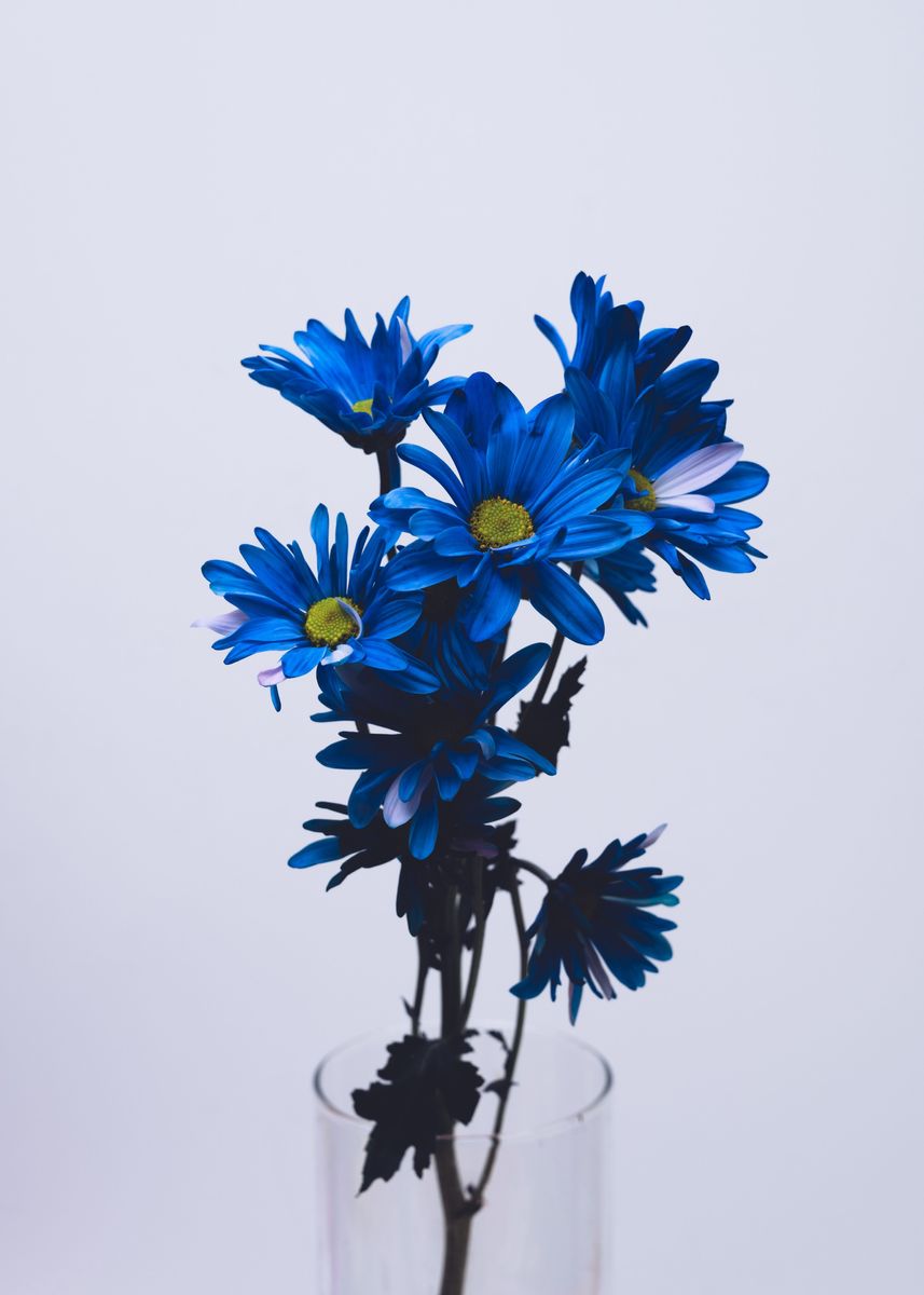 'Flower Design' Poster by hyou keiryu | Displate