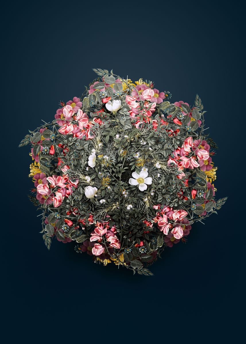 'Hedge Rose Flower Wreath' Poster, picture, metal print, paint by Holy ...