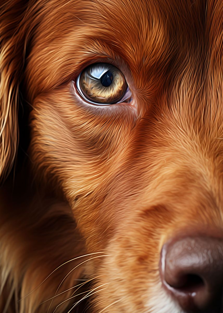 'Dog Close Up' Poster by RyukMiii | Displate