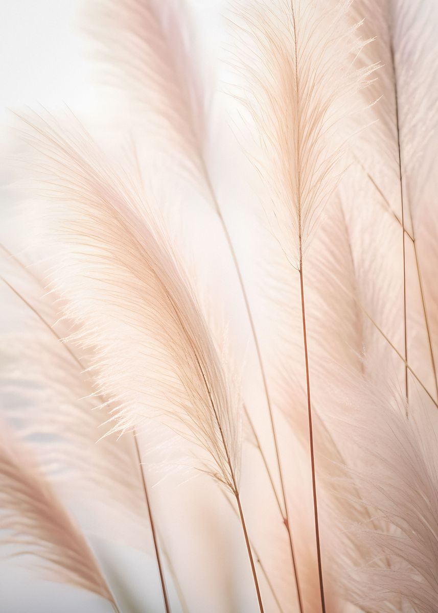 'Velvet Windgrass' Poster, picture, metal print, paint by Steffen ...