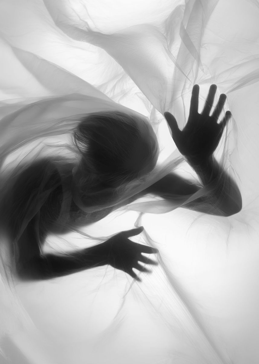 'Diffused Silhouette' Poster, picture, metal print, paint by Nikita ...