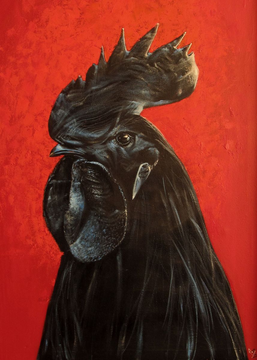 'PORTRAIT OF A BLACK AYAM ' Poster, picture, metal print, paint by ...