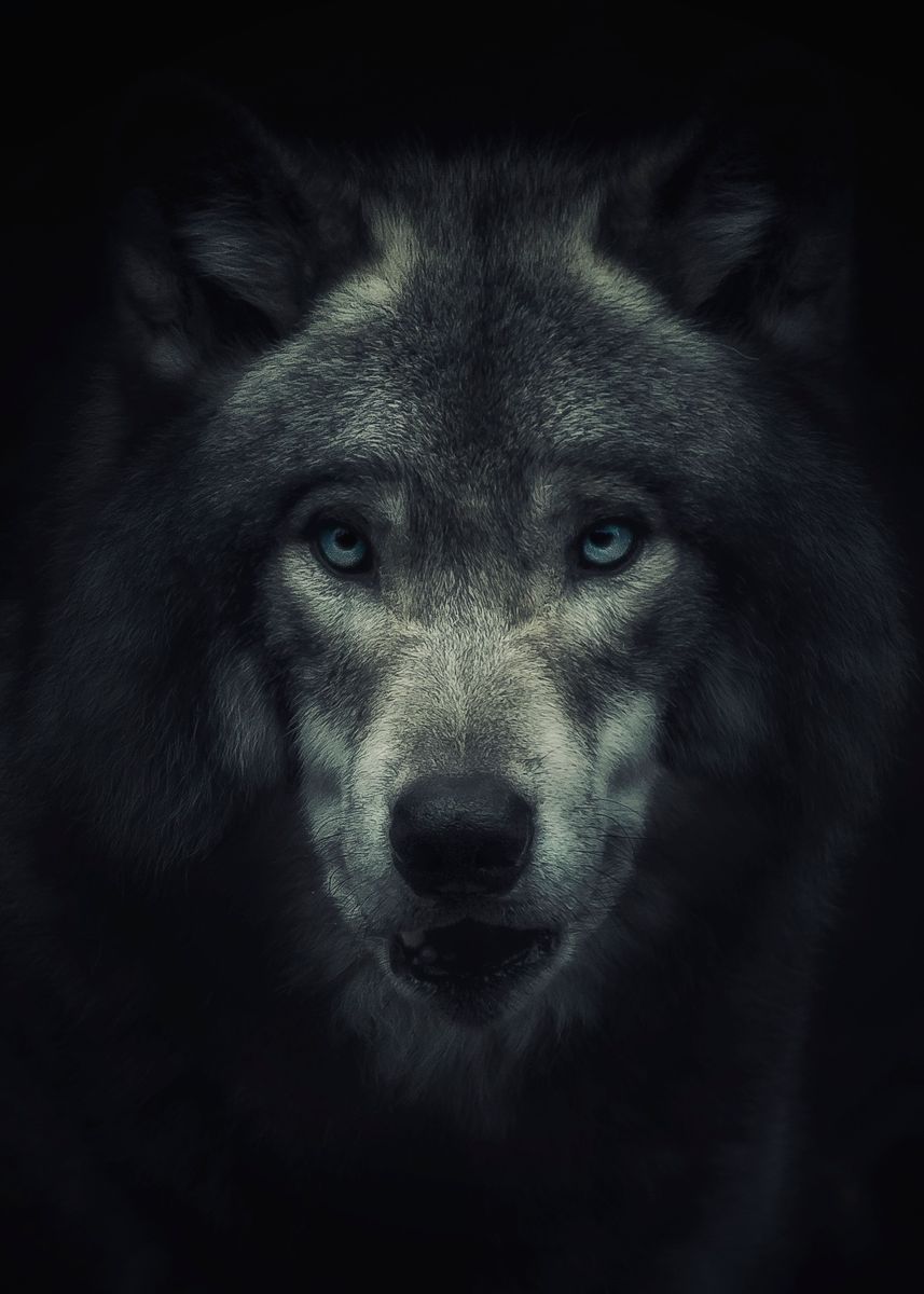 'The Wolf Ghost' Poster, picture, metal print, paint by Alice White ...