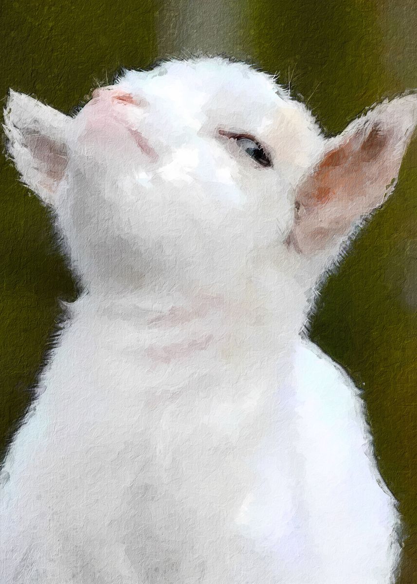 'Smug Goat Meme' Poster, picture, metal print, paint by Meme Daily ...