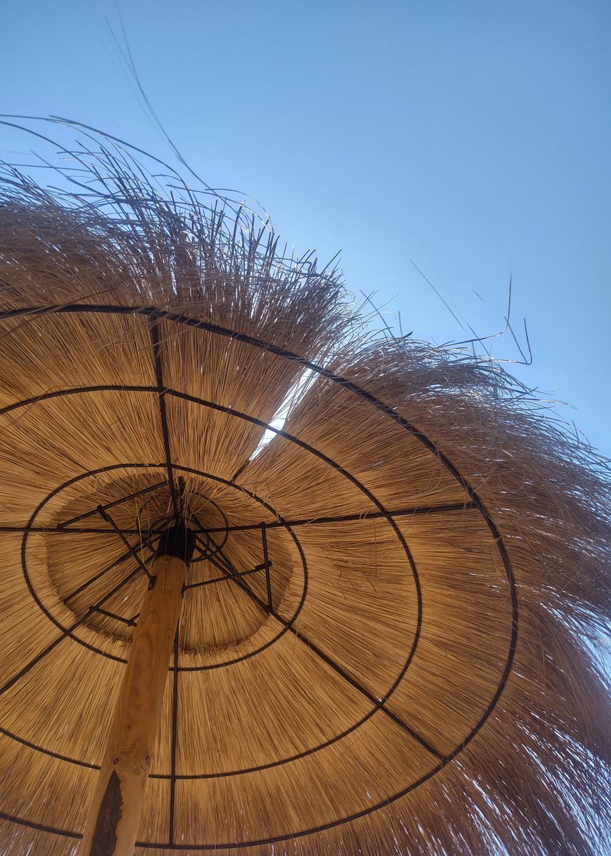 'Beach parasol ' Poster, picture, metal print, paint by David Green ...