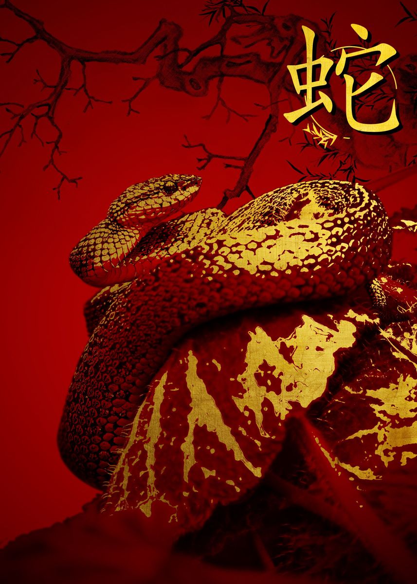 'Chinese Zodiac Snake' Poster, picture, metal print, paint by ...
