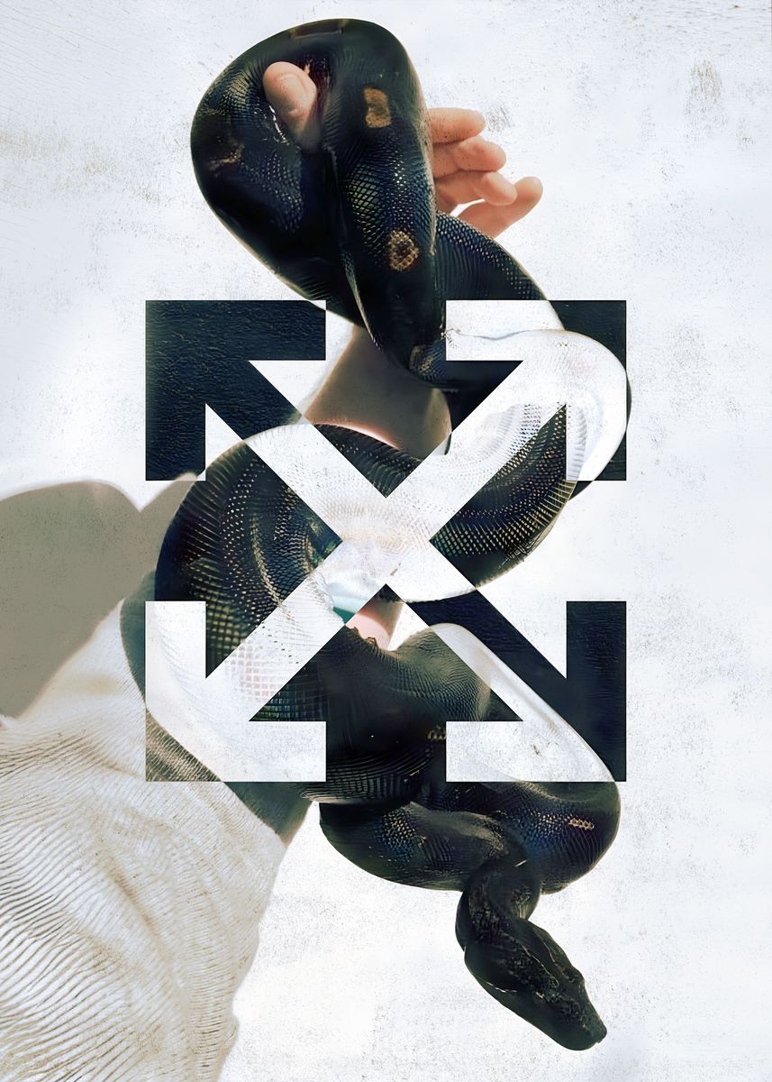 'Snake Hypebeast off-white' Poster, picture, metal print, paint by Uber ...
