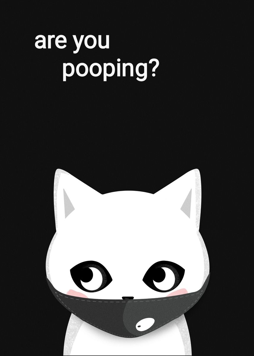'WHITE CAT ARE YOU POOPING' Poster, picture, metal print, paint by P U ...