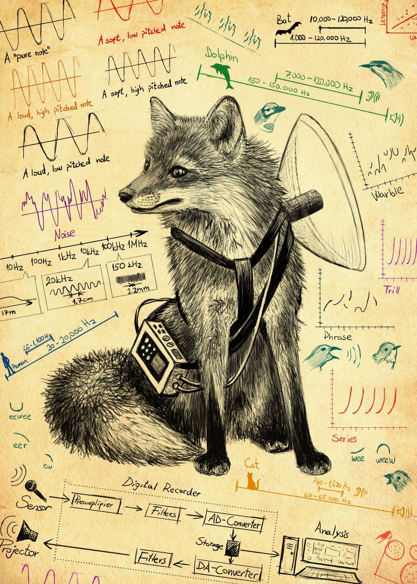 'Fox in Bioacoustics' Poster, picture, metal print, paint by Hris Rizz ...