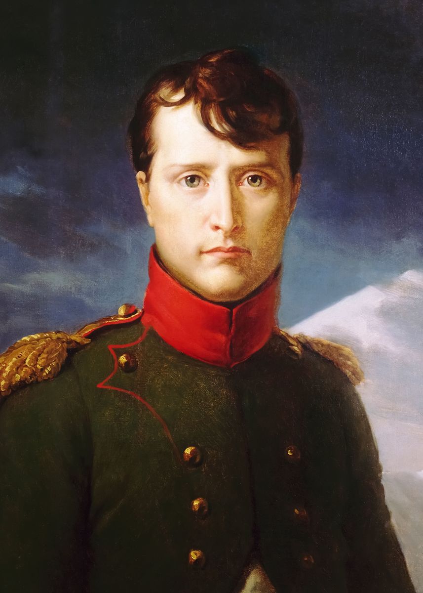 'Premier Consul' Poster, picture, metal print, paint by Mango Art ...