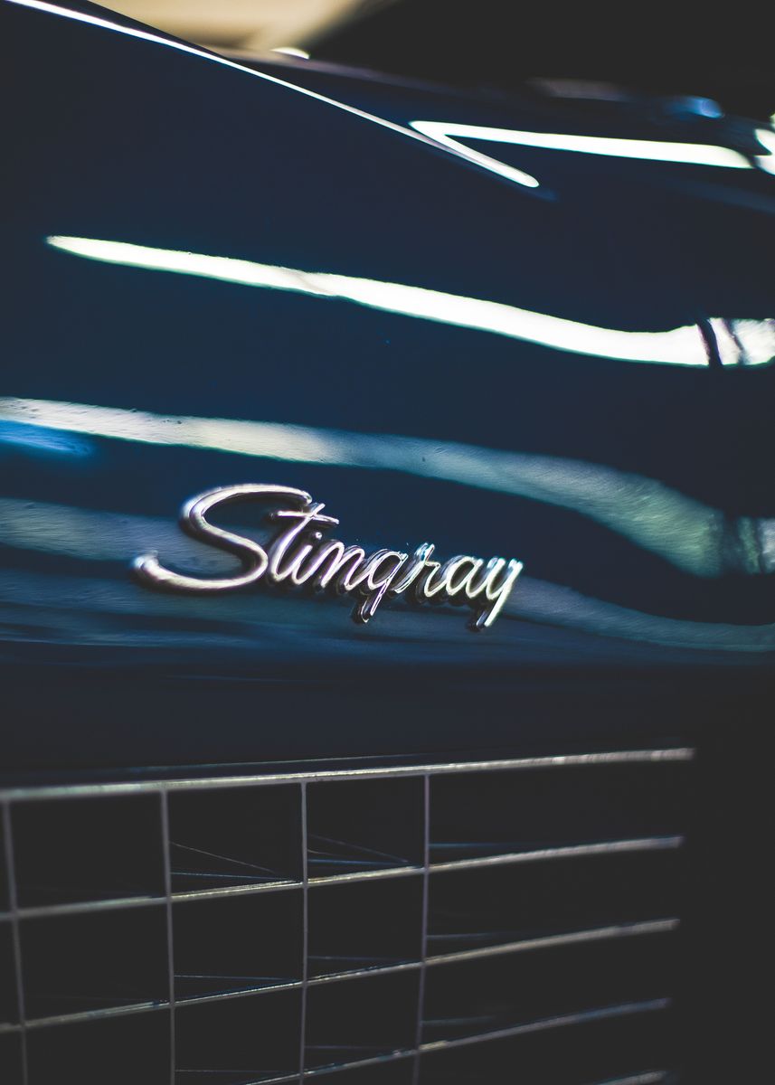 'Corvette Stingray' Poster, picture, metal print, paint by Sam Brady ...