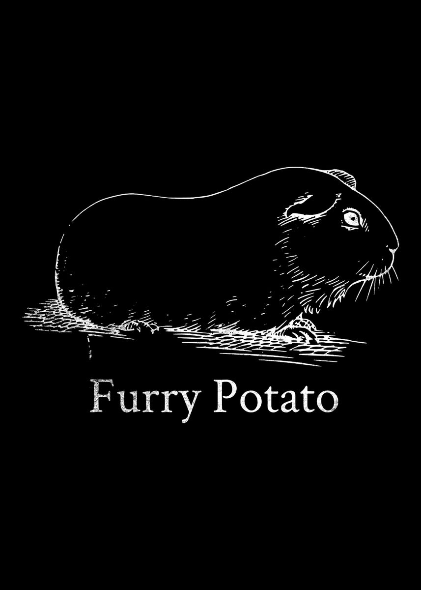 'Furry Potato' Poster, picture, metal print, paint by Tormentedabnormal ...