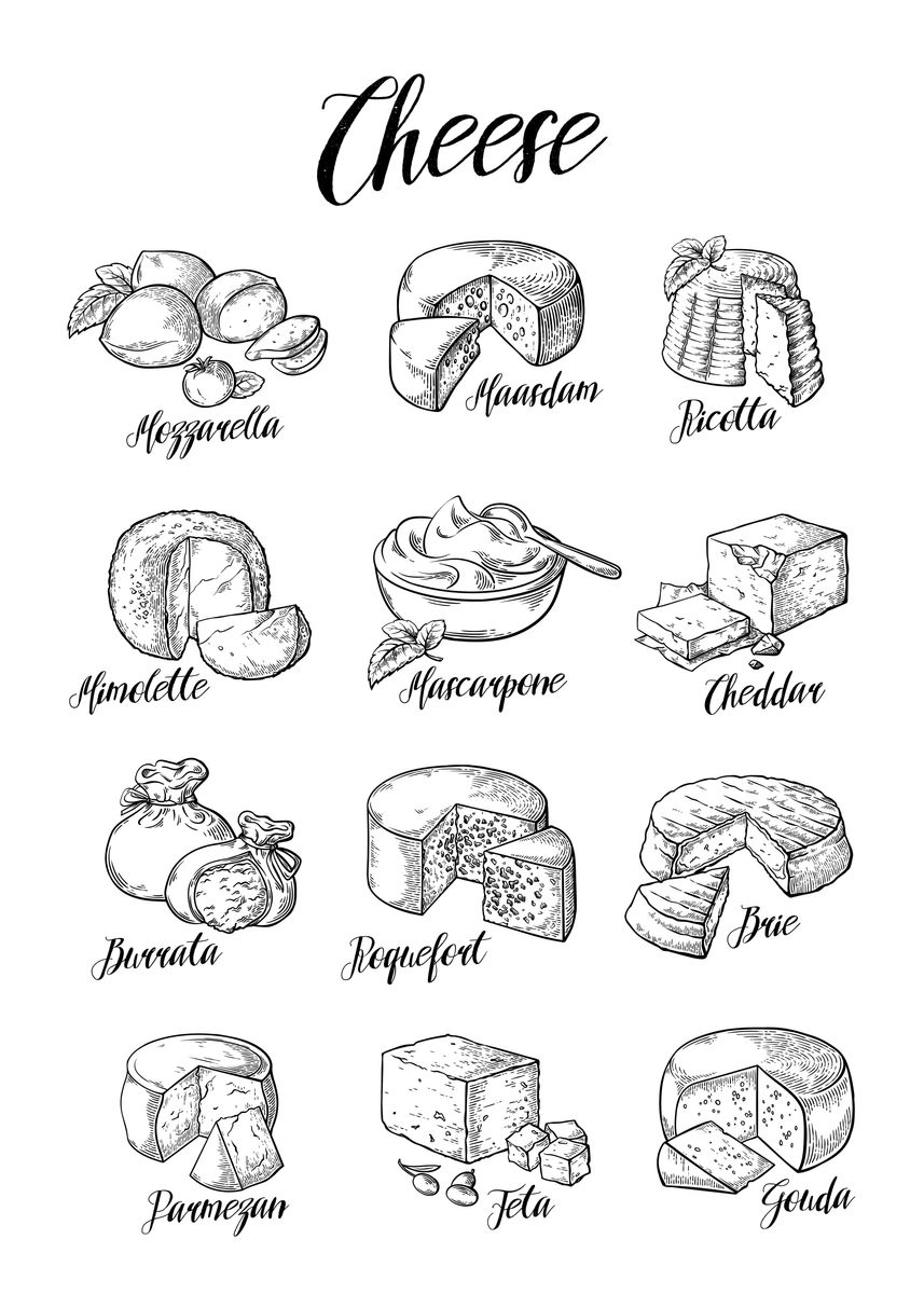 'Cheese Types Guide' Poster, picture, metal print, paint by dkDesign ...