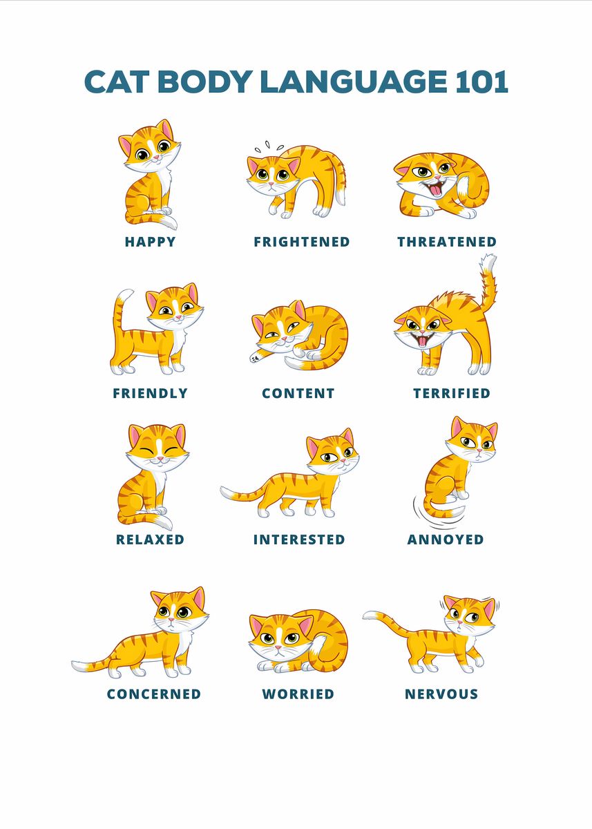 'Cat Language poster' Poster, picture, metal print, paint by ART JOY ...