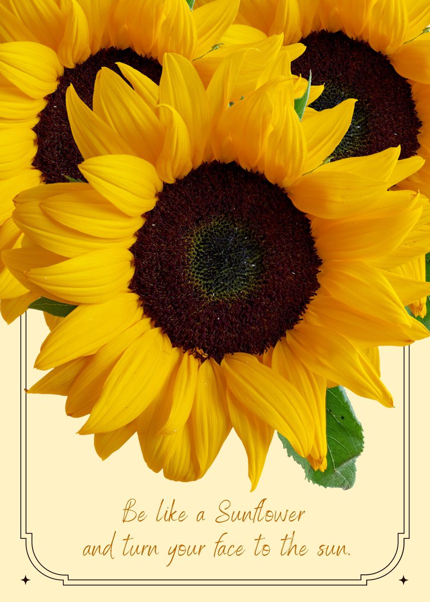 'Be a sunflower' Poster, picture, metal print, paint by XandYart | Displate