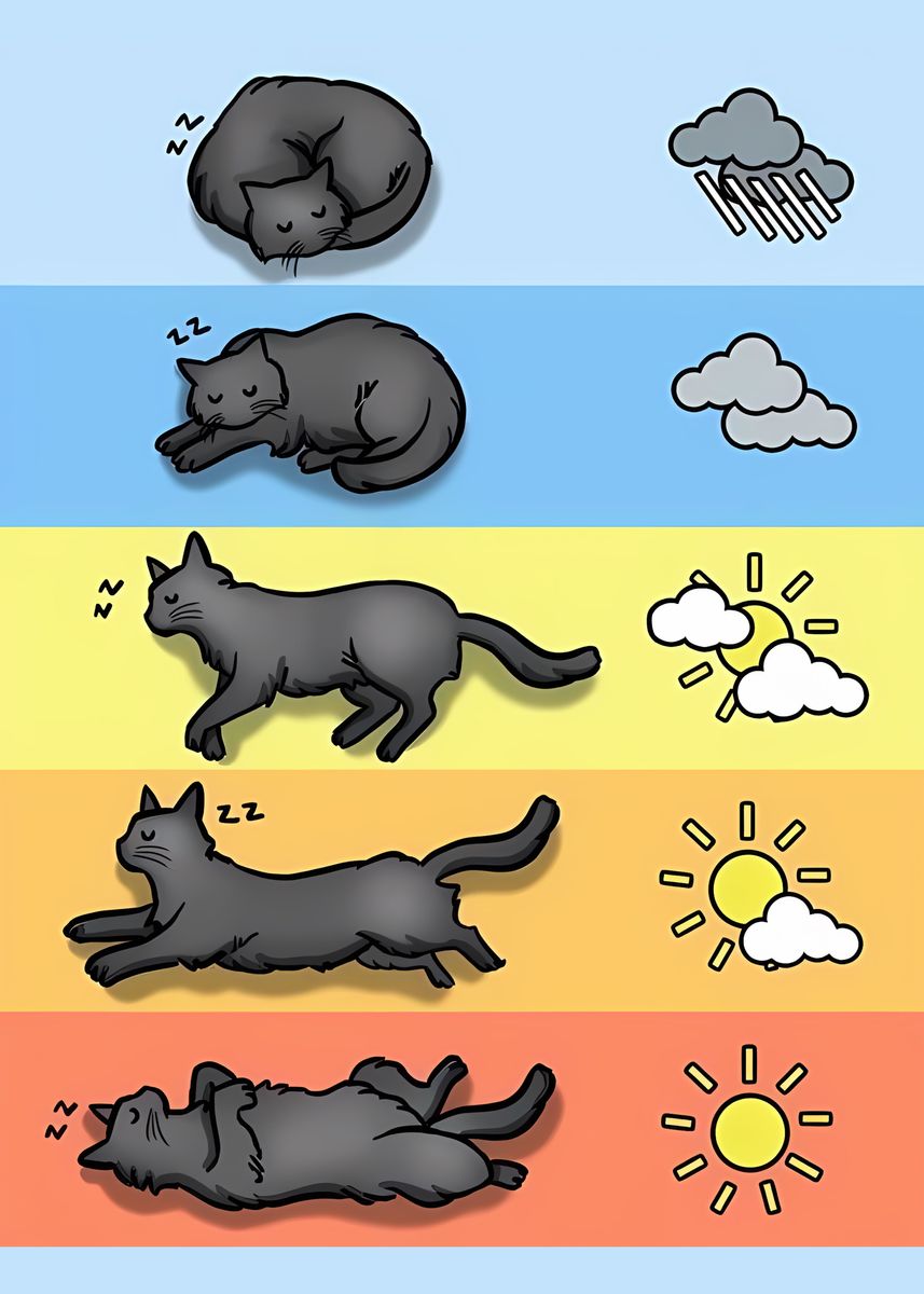 'CAT Weather ' Poster, picture, metal print, paint by ART JOY STUDIO ...