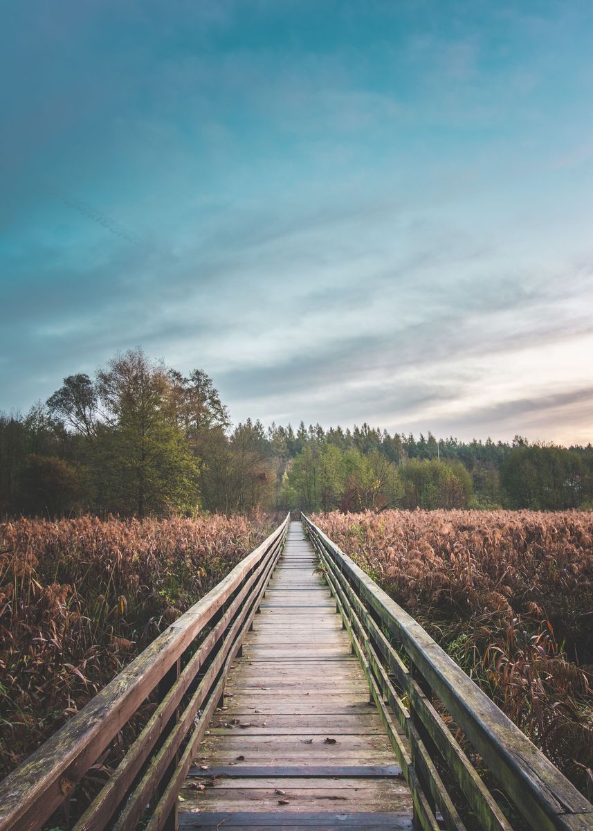 'Wooden Pathway Sunrise' Poster, picture, metal print, paint by Matt ...
