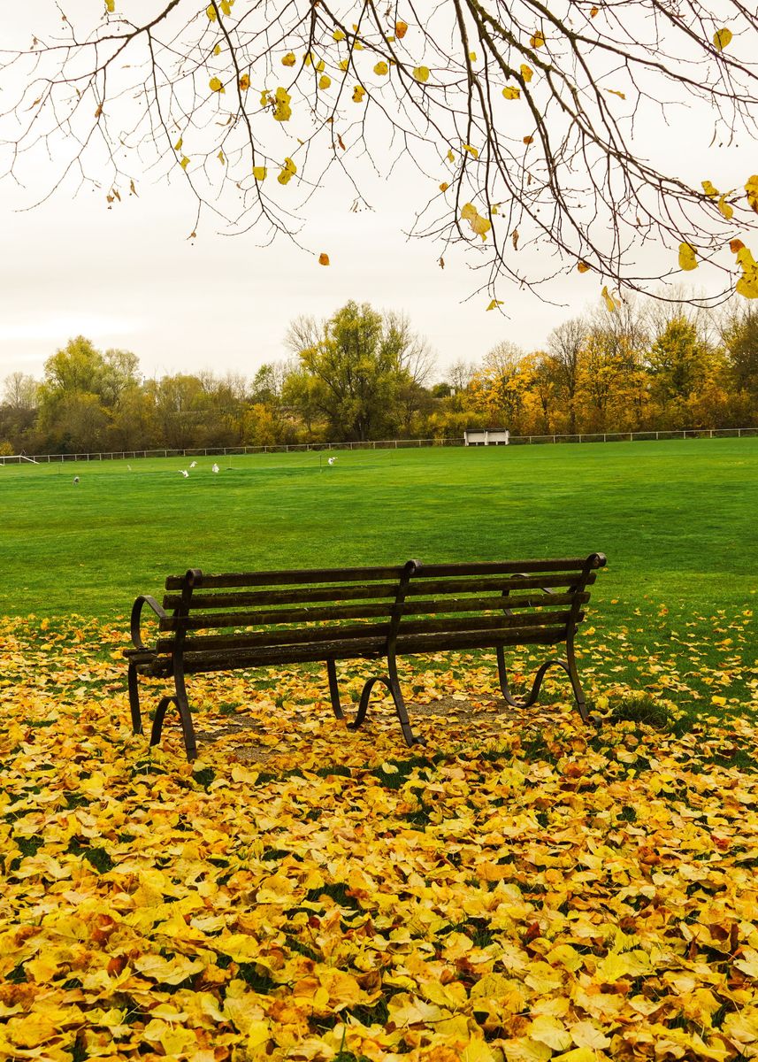 'Fall at the park' Poster, picture, metal print, paint by David Green ...