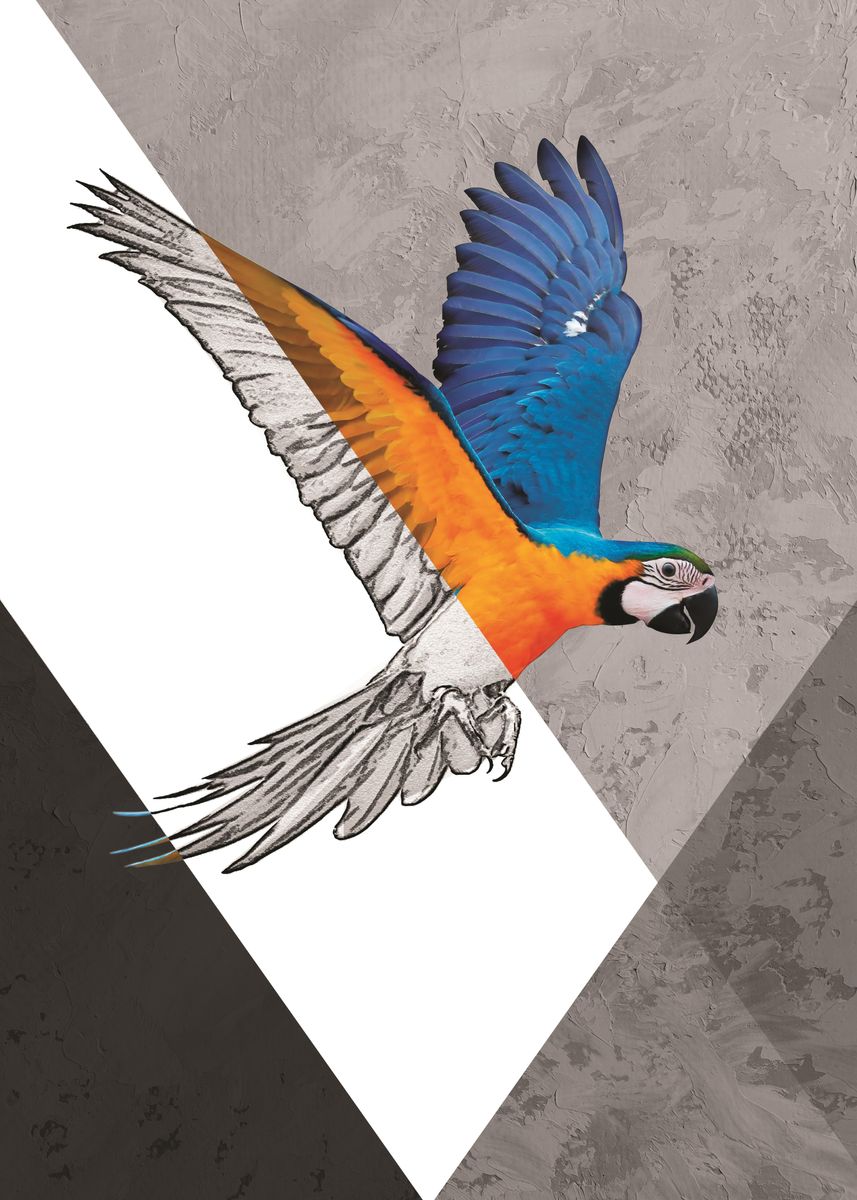 'Macaw Geometric' Poster, picture, metal print, paint by REAL VINTAGE ...