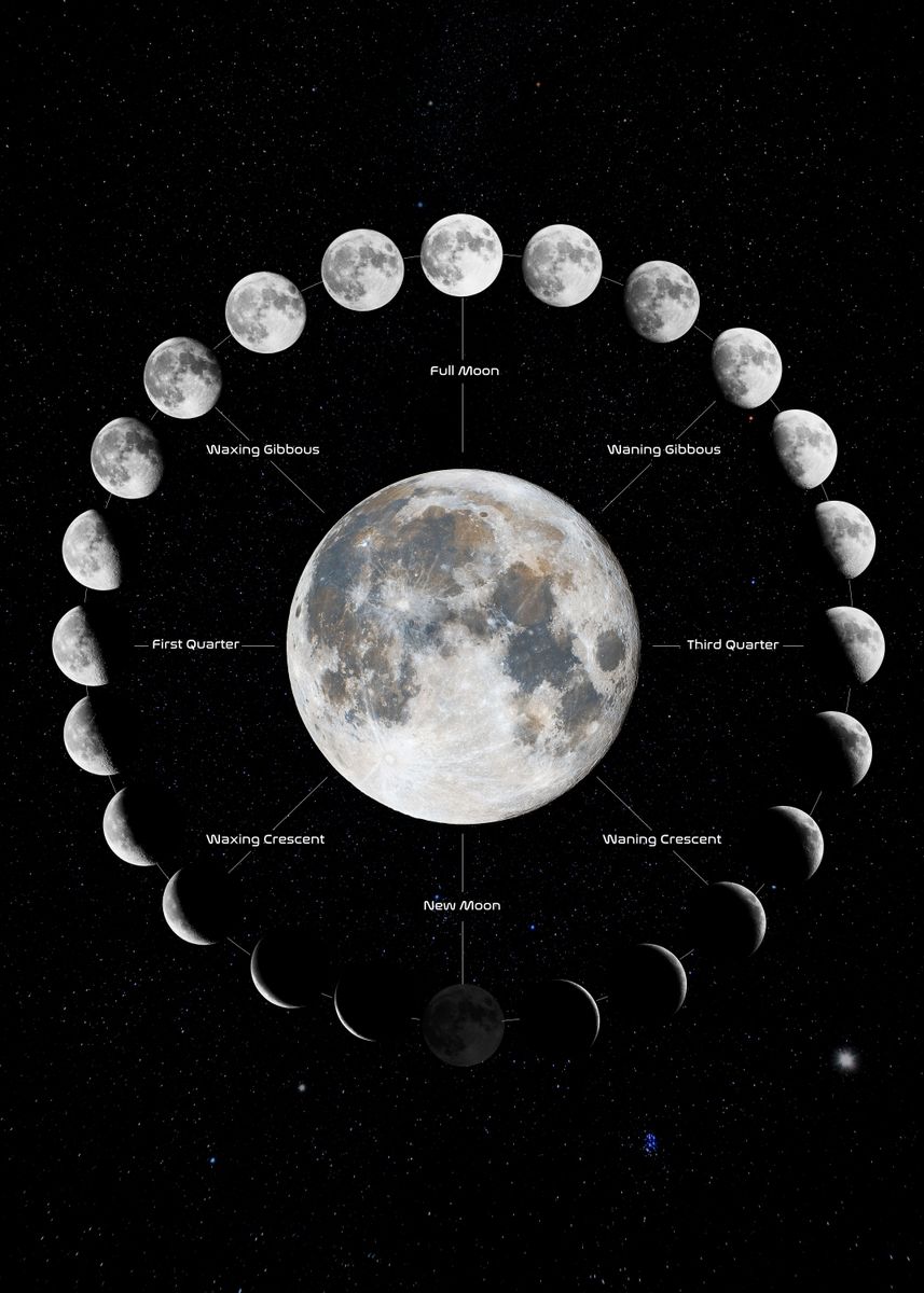 'Moon Phases' Poster, picture, metal print, paint by Bray Falls | Displate