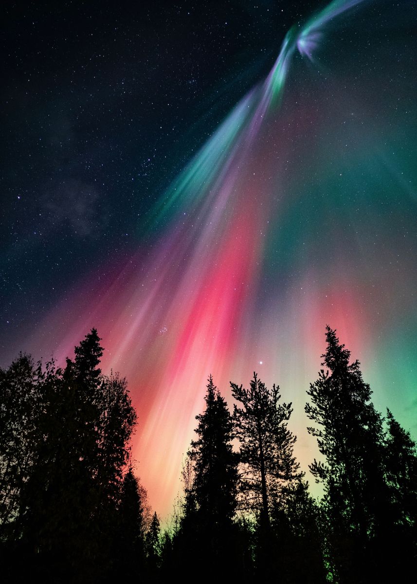 'Aurora sky on fire' Poster, picture, metal print, paint by ...