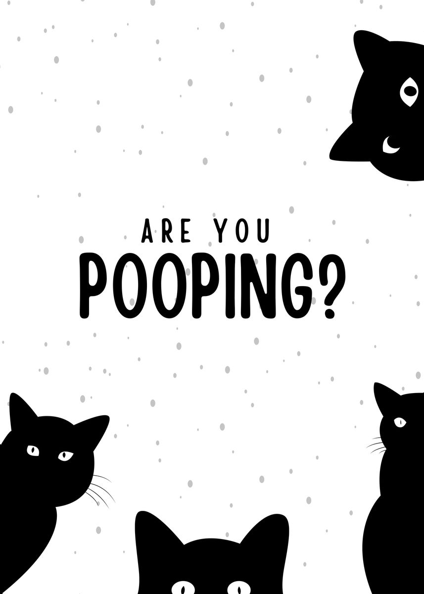 'BLACK CAT ARE YOU POOPING ' Poster, picture, metal print, paint by ...