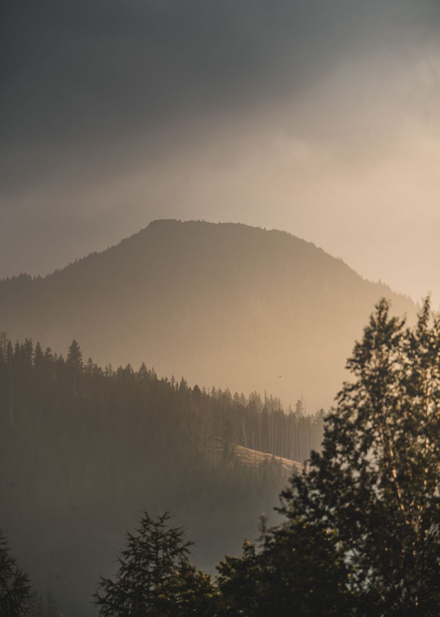 'Fog and sunset' Poster, picture, metal print, paint by Adam Stolarczyk ...