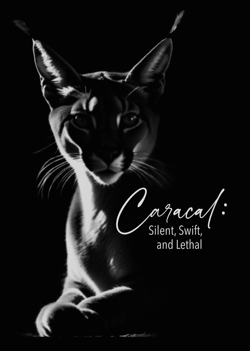 'Caracal silhouette' Poster, picture, metal print, paint by Popart ...