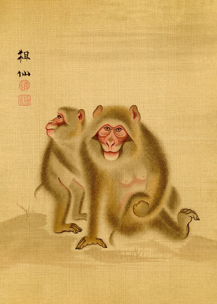 'Japanese monkey ' Poster, picture, metal print, paint by tony4urban ...