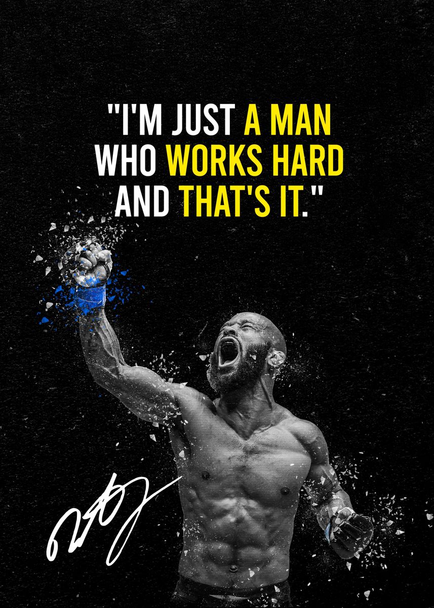 'Demetrious Johnson ' Poster, picture, metal print, paint by Tina ...