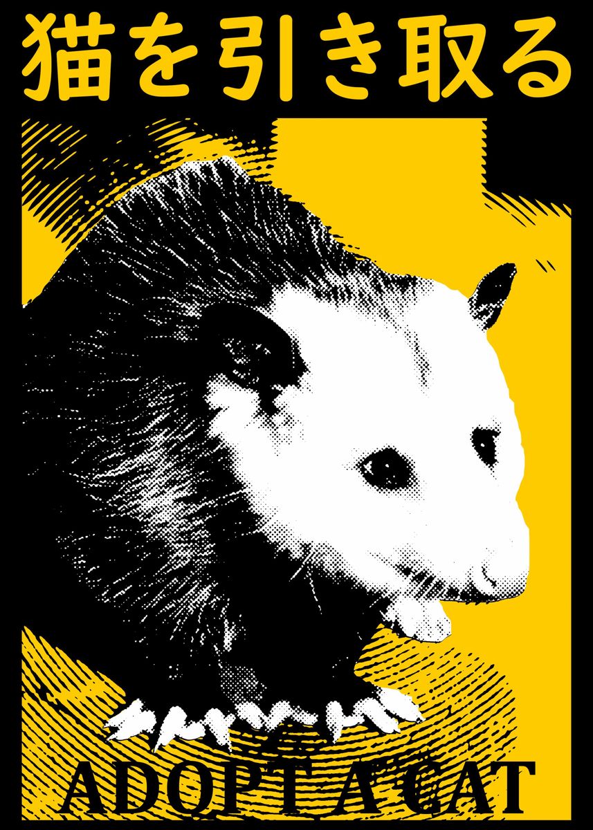 'Adopt a Cat Opossum' Poster, picture, metal print, paint by John ...