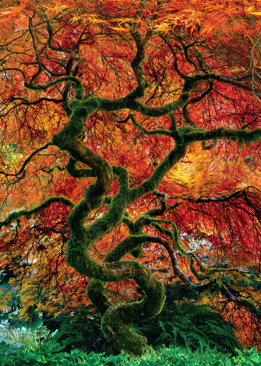 'Tree' Poster, picture, metal print, paint by REAL VINTAGE | Displate