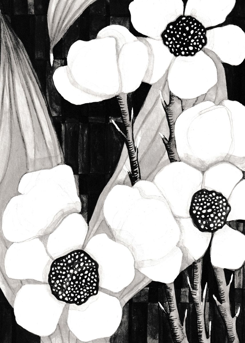 'Black and white flower art' Poster, picture, metal print, paint by ...