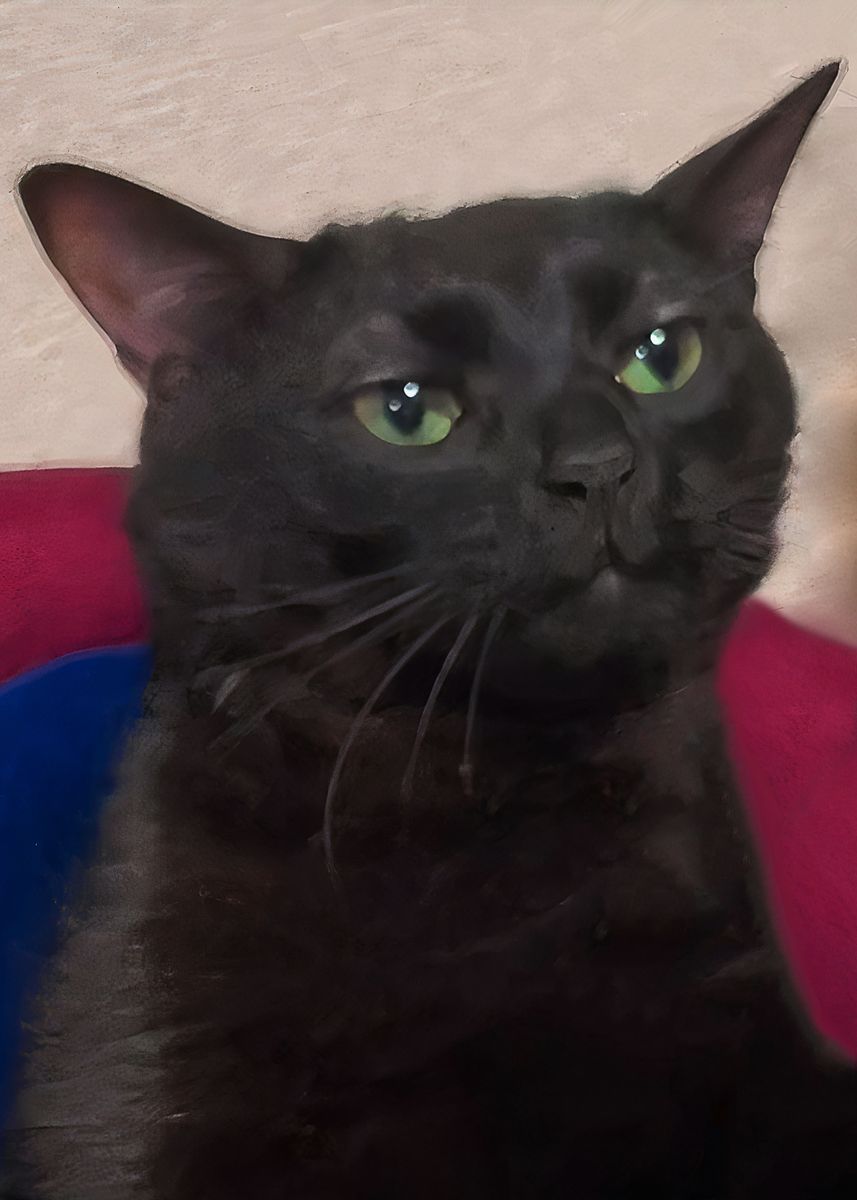 'Zoned Out Cat meme' Poster, picture, metal print, paint by Natalie ...