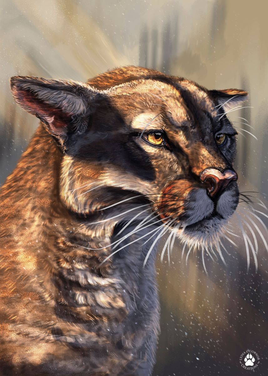 'Mountain Lion' Poster, picture, metal print, paint by Lydia O Connor ...