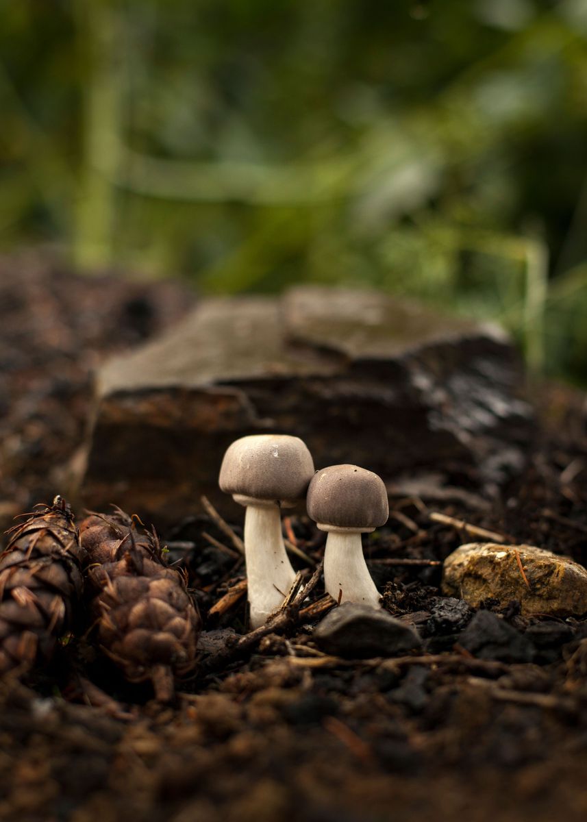 'Two Fun Guys' Poster, picture, metal print, paint by Brandt | Displate