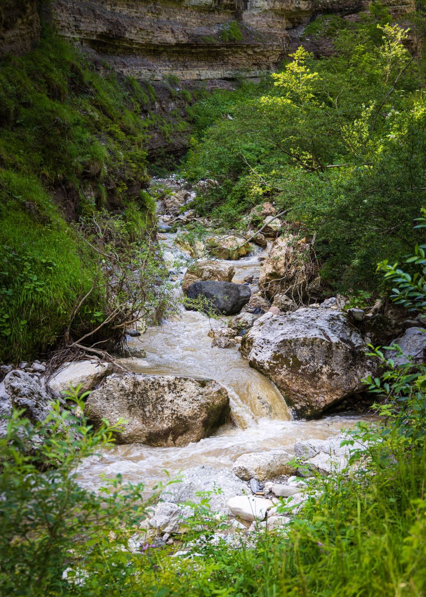'A torrent in the forest' Poster, picture, metal print, paint by ...