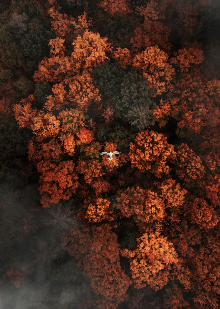 'Flying at Fall' Poster, picture, metal print, paint by Benjamin Bryer ...