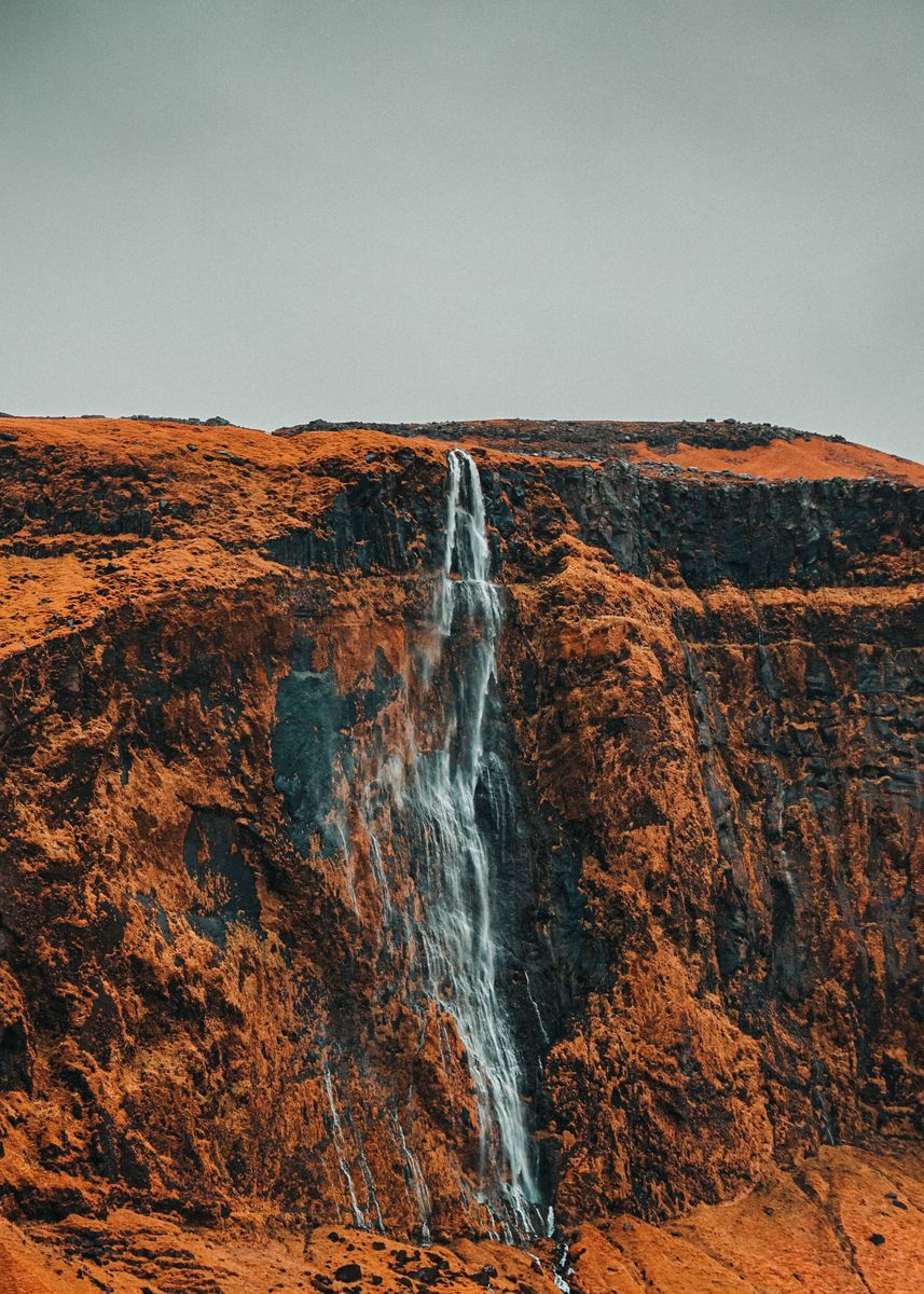 'The Viking Beard' Poster, picture, metal print, paint by Benjamin ...