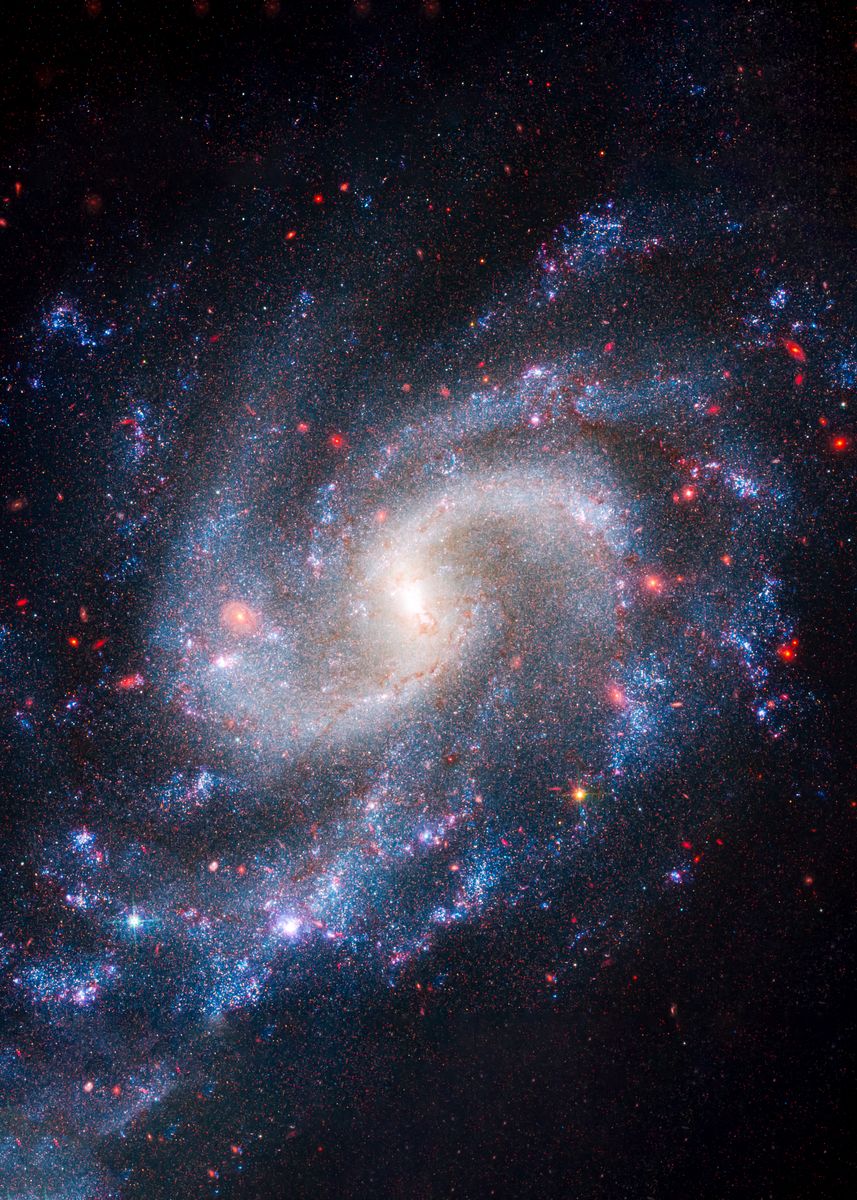 'Spiral Galaxy NGC 5584' Poster, picture, metal print, paint by NASA ...