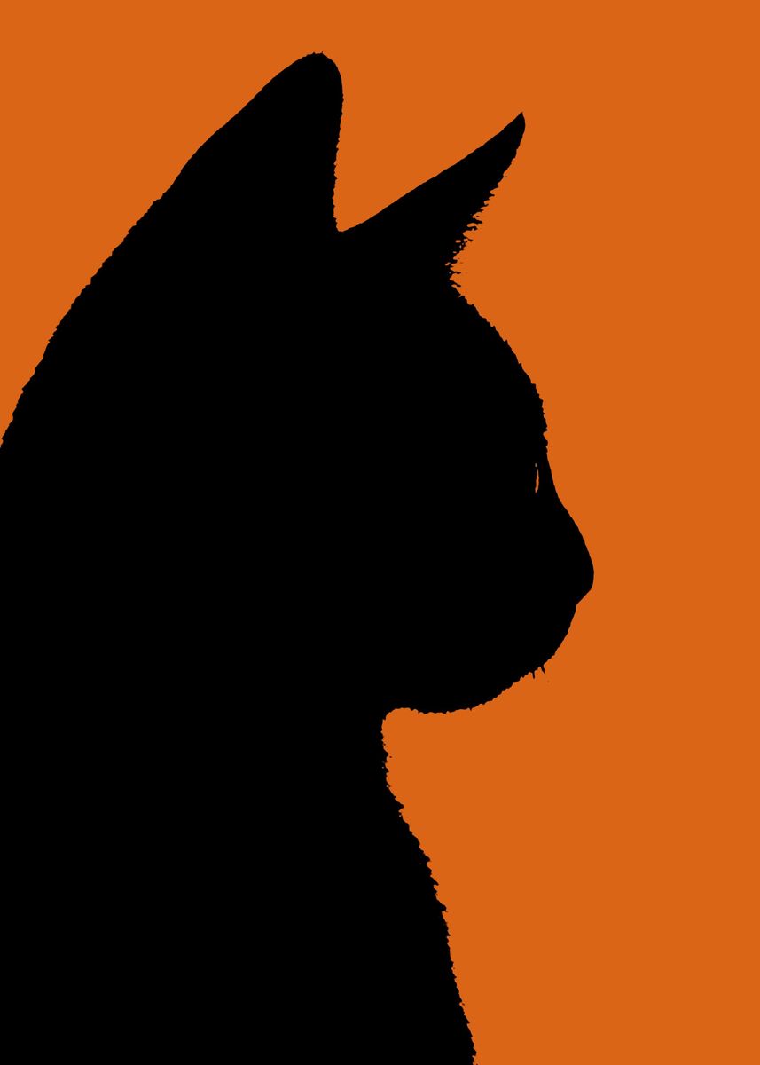 'cat' Poster by STRAIGHT | Displate