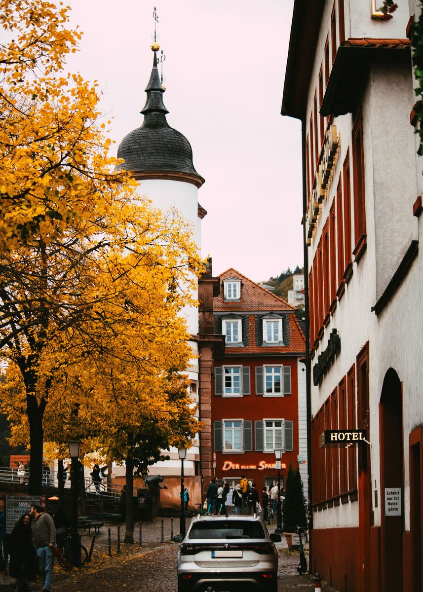 'Heidelberg Autumn Colors' Poster, picture, metal print, paint by ...