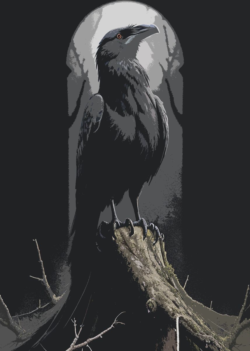 'mysterious raven' Poster by Zeeshan Ali | Displate